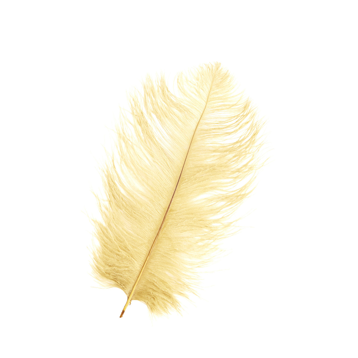 Feder Gold | Deko & Design | Deko und Hussen Verleih